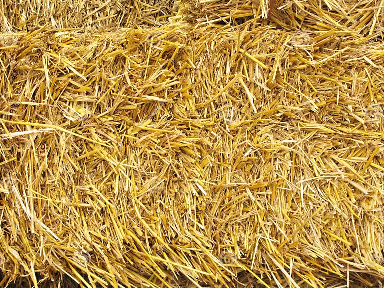 Hay stock image. Image of background, yellow, pattern - 11181431