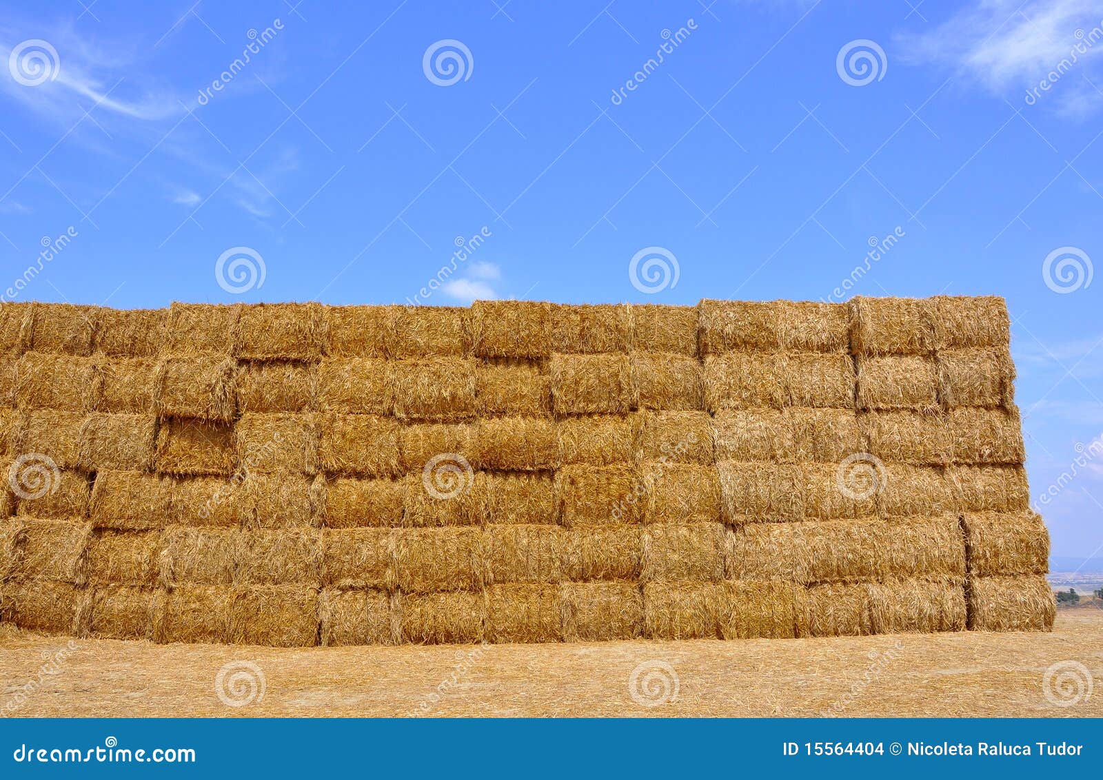 Hay stock photo. Image of country, harvest, background - 15564404