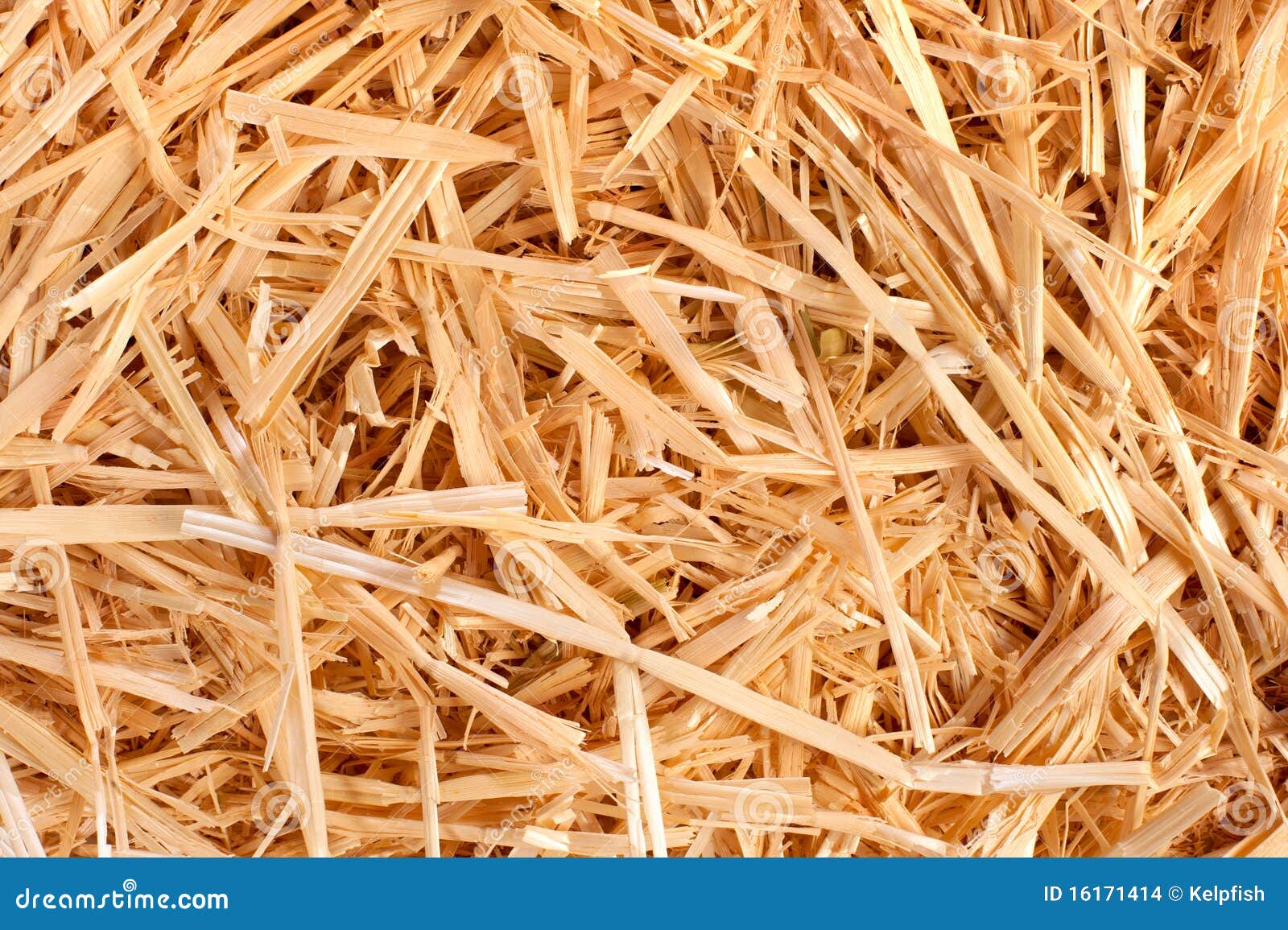 Hay stock photo. Image of natural, haystack, harvest - 16171414
