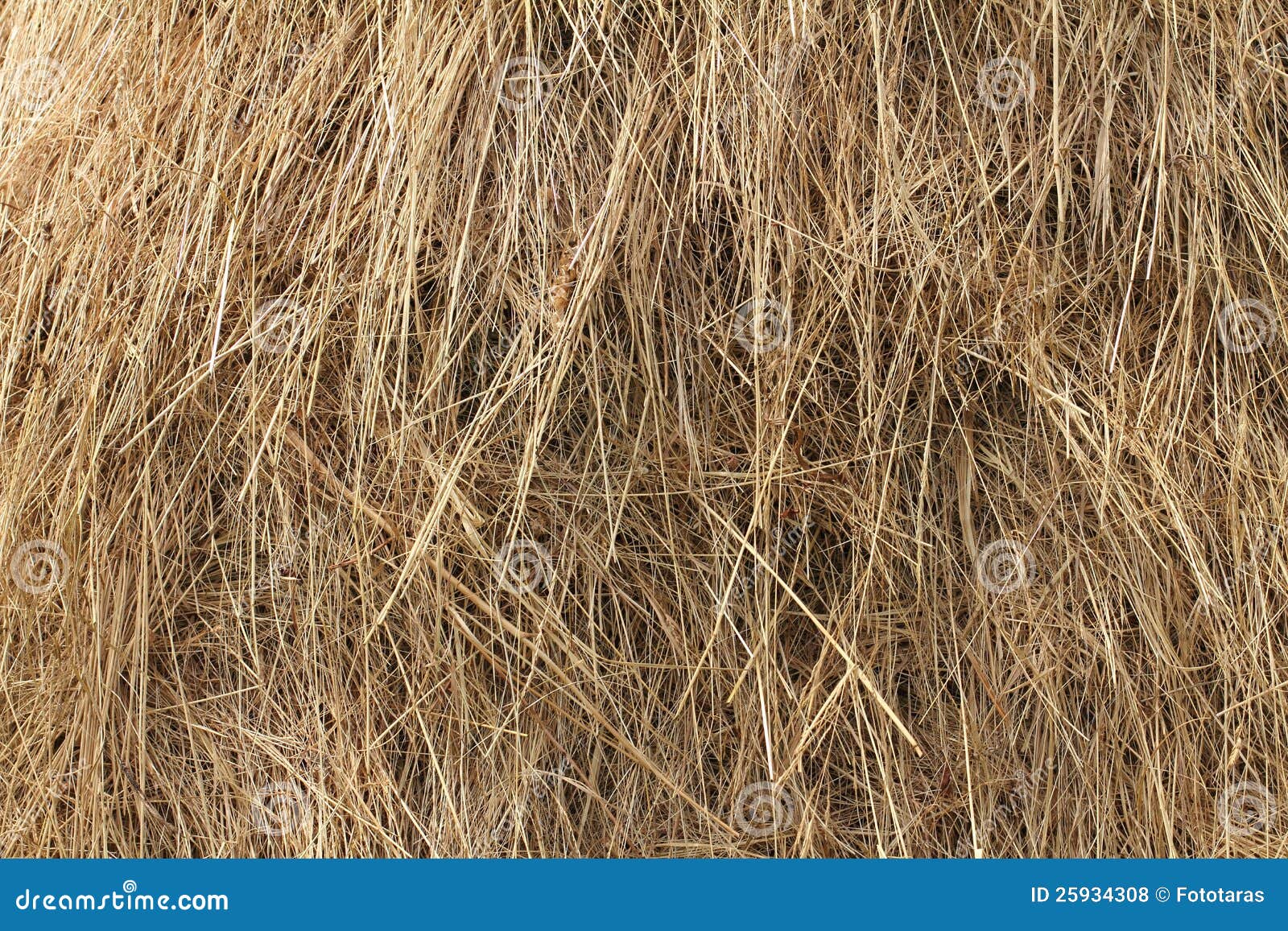 Hay stock photo. Image of farm, haystack, autumn, heap - 25934308