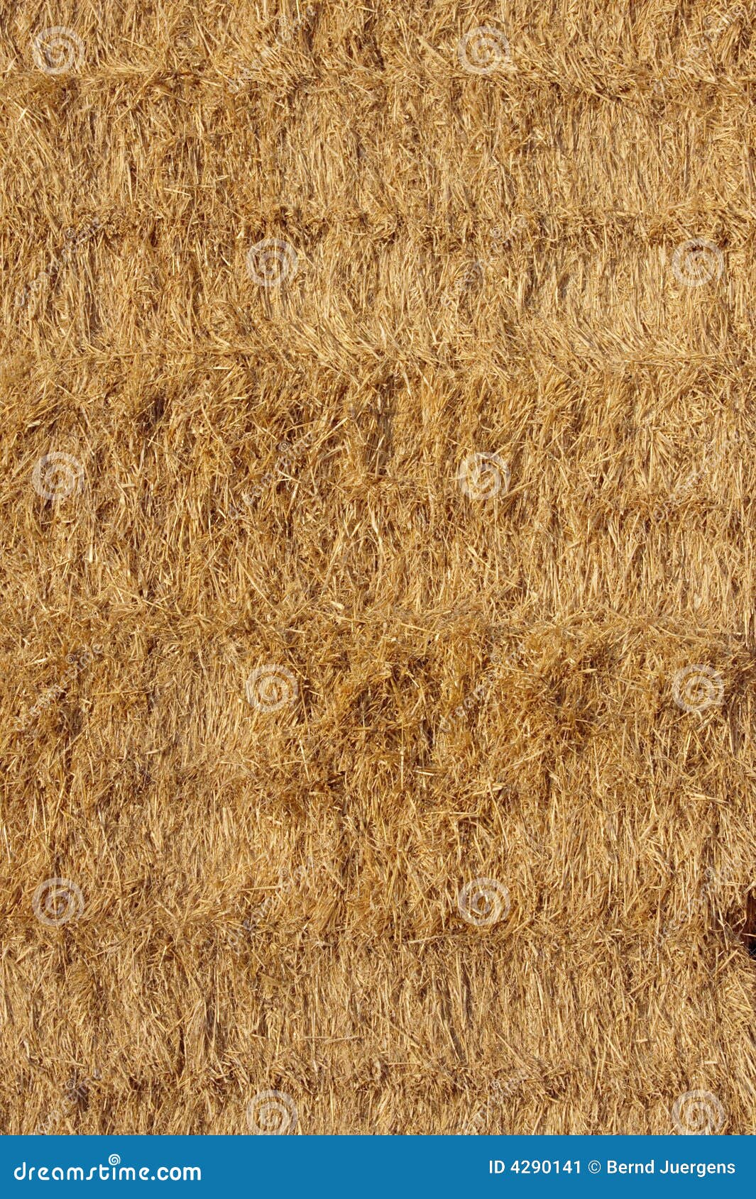 Hay stock image. Image of stable, agriculture, farming - 4290141