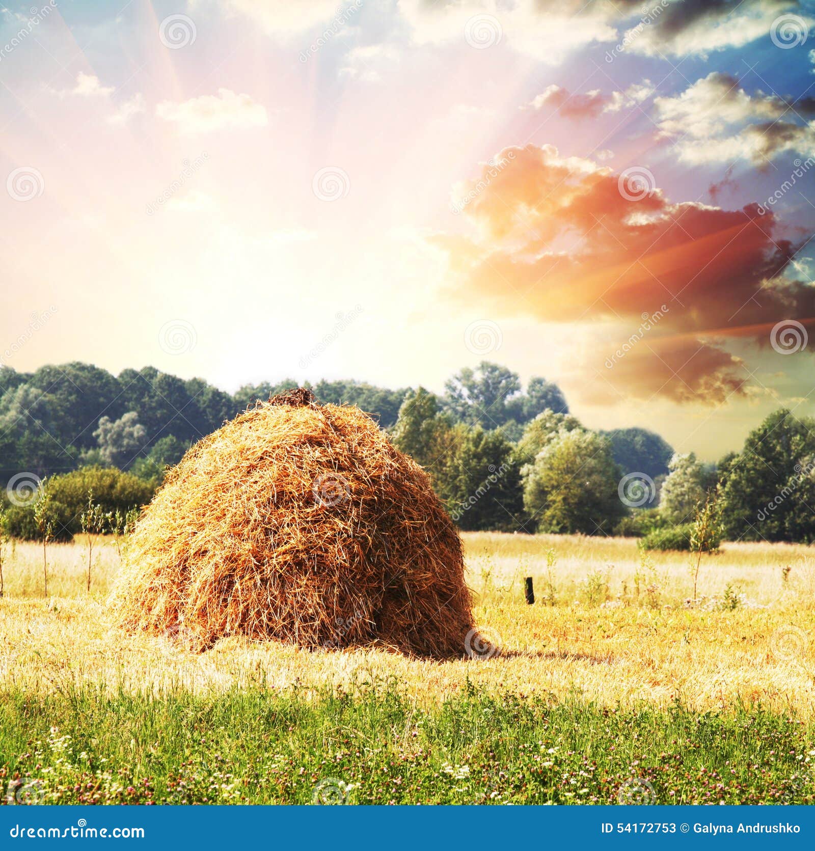 Hay stock image. Image of rural, landscape, scene, landscapes - 54172753