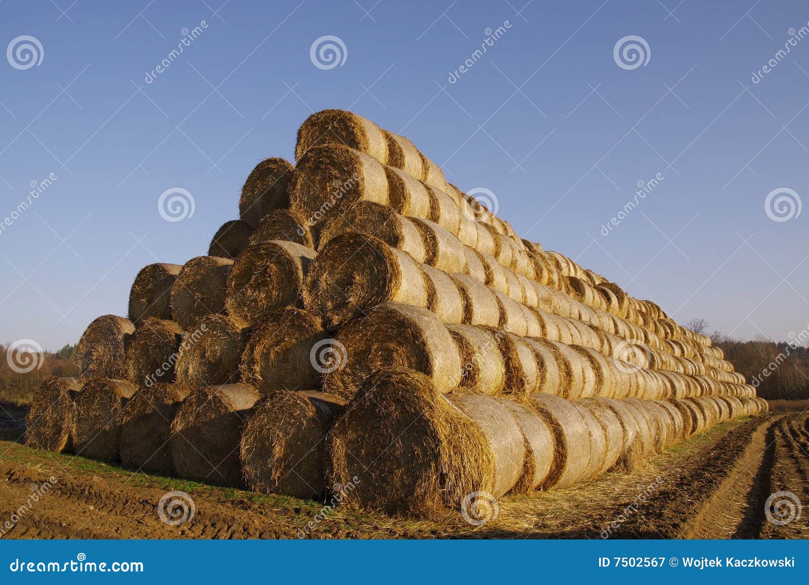 Hay stock image. Image of meadow, ecology, ground, path - 7502567