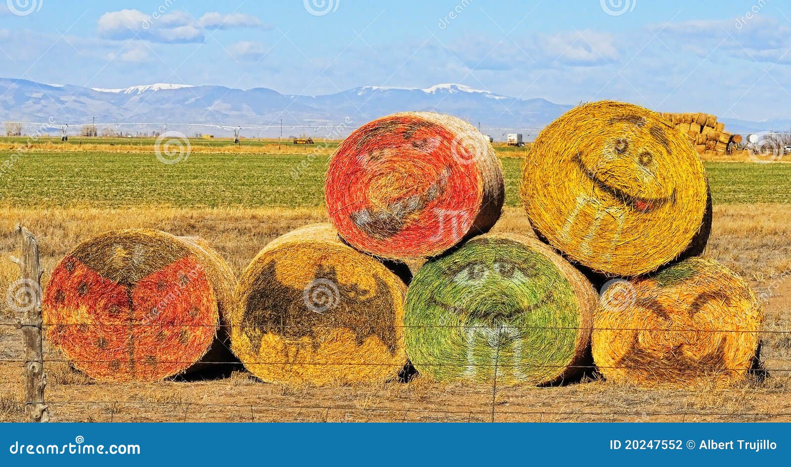 Hay Art stock photo. Image of graffiti, field, faces - 20247552