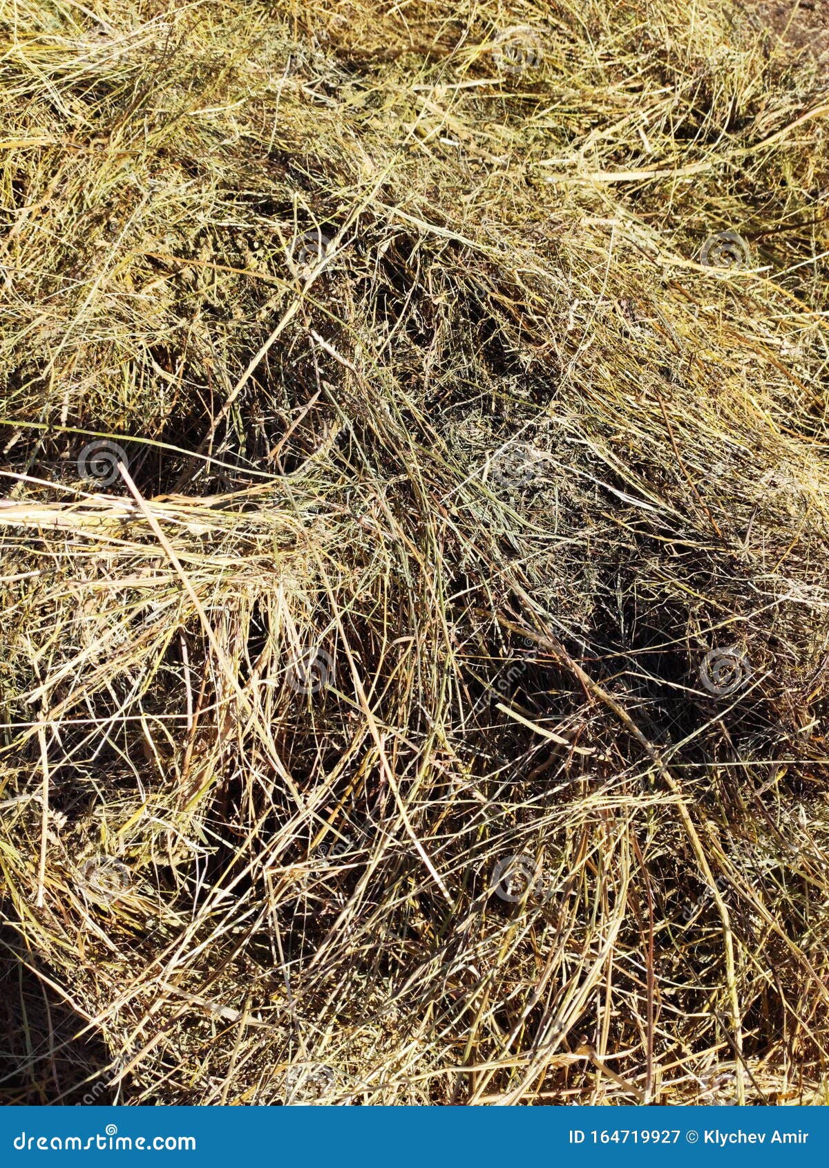 Hay As a Background for Creativity Stock Image - Image of work ...