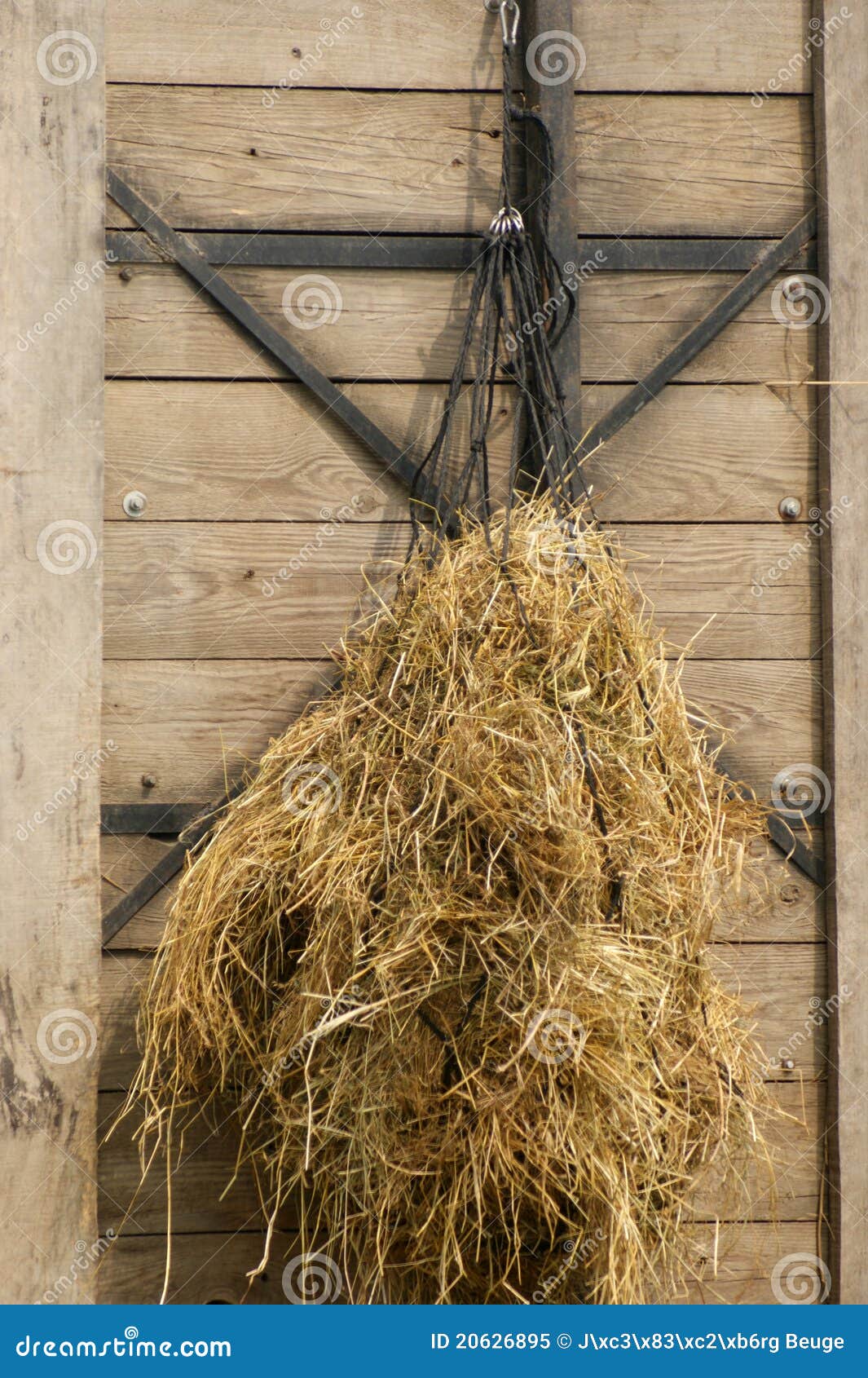 Hay As Forage Hung in a Net Stock Image - Image of farming, farm: 20626895
