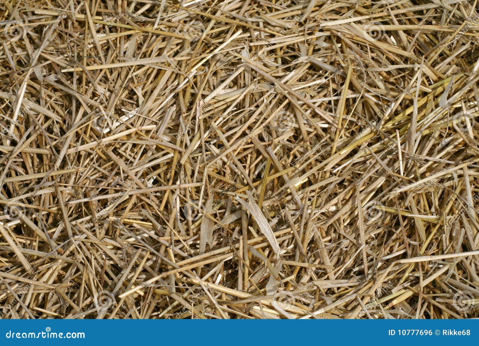 Hay background stock photo. Image of bail, bales, corn - 10777696