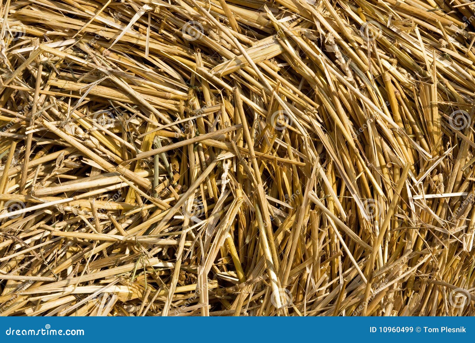 Hay background stock image. Image of natural, pattern - 10960499