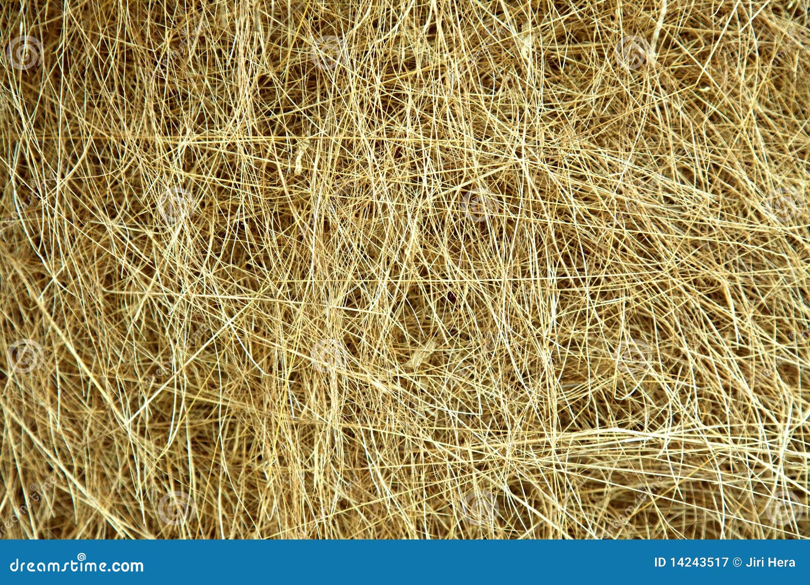 Hay background stock image. Image of soft, wheat, spiral - 14243517