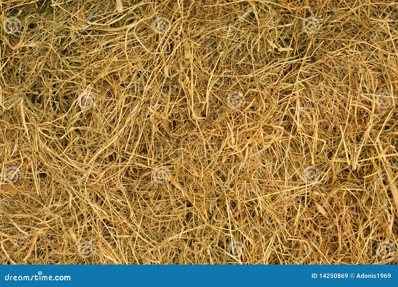 Hay background stock image. Image of colored, heap, coloured - 14250869