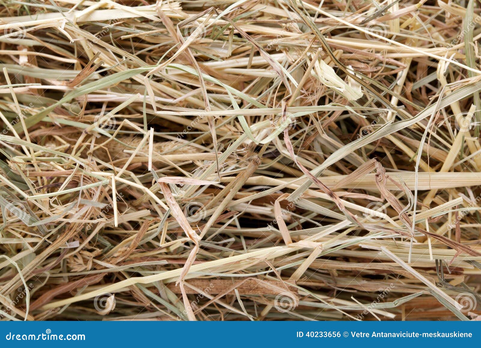 Hay background stock photo. Image of stack, farming, view - 40233656