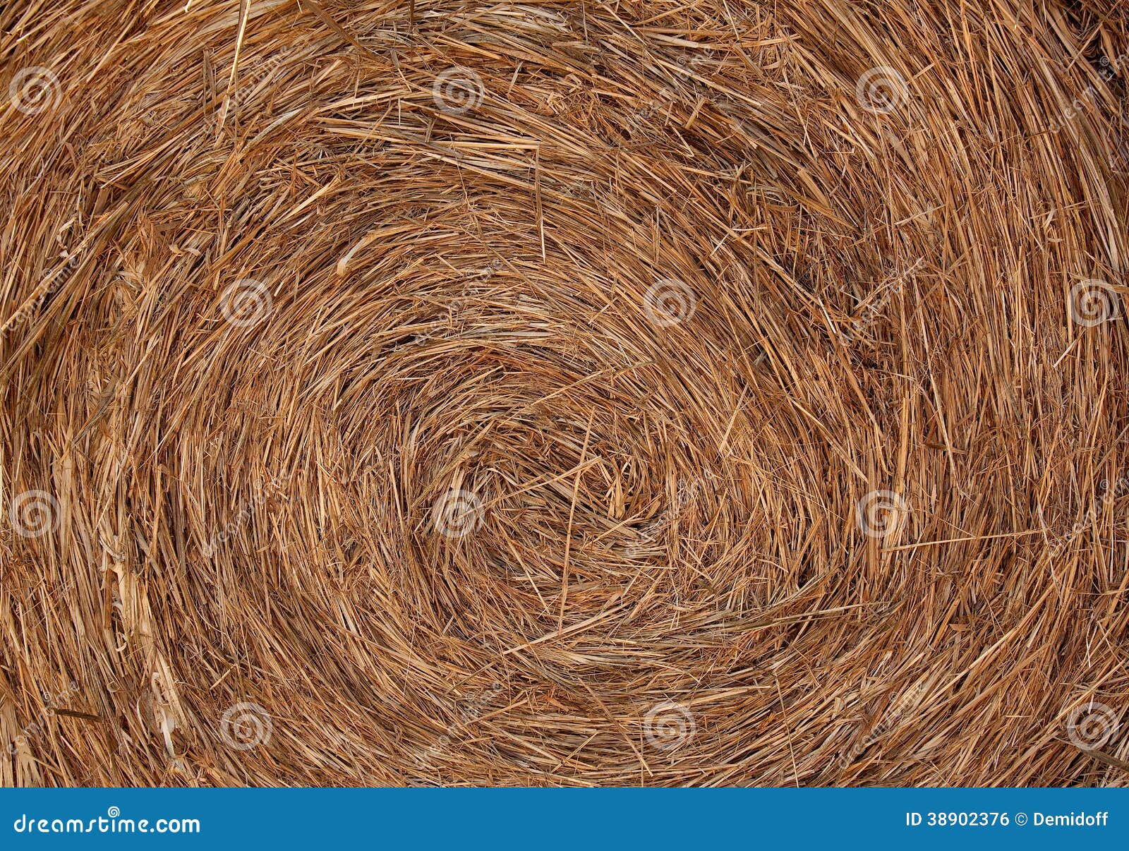 Hay background stock photo. Image of agriculture, grass - 38902376