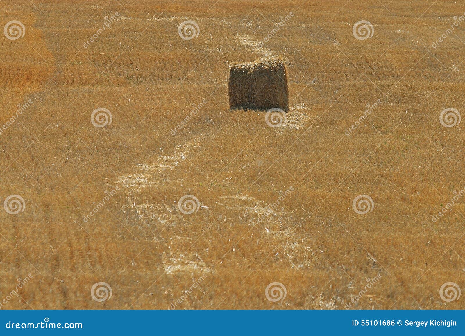 Hay background stock photo. Image of plant, farmland - 55101686