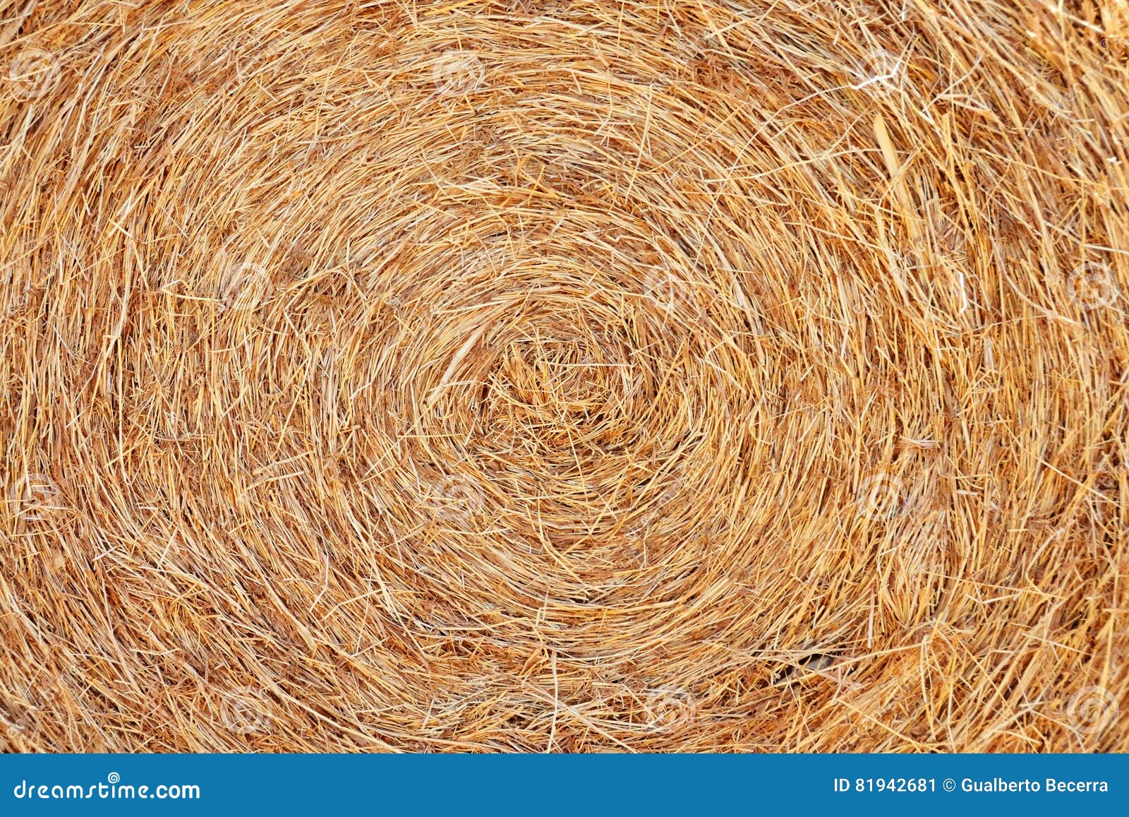 Hay Background stock image. Image of haystack, rural - 81942681