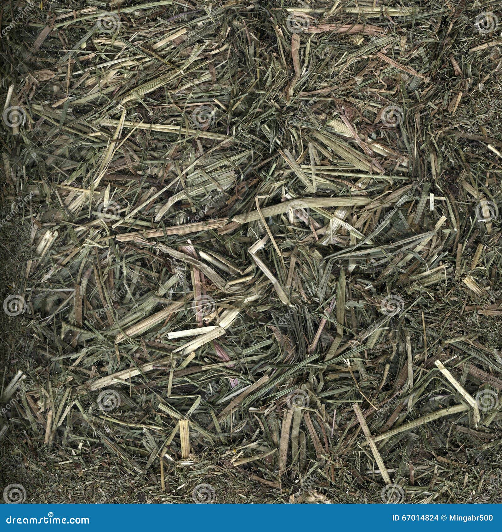 Hay background stock photo. Image of haystack, farm, stack - 67014824