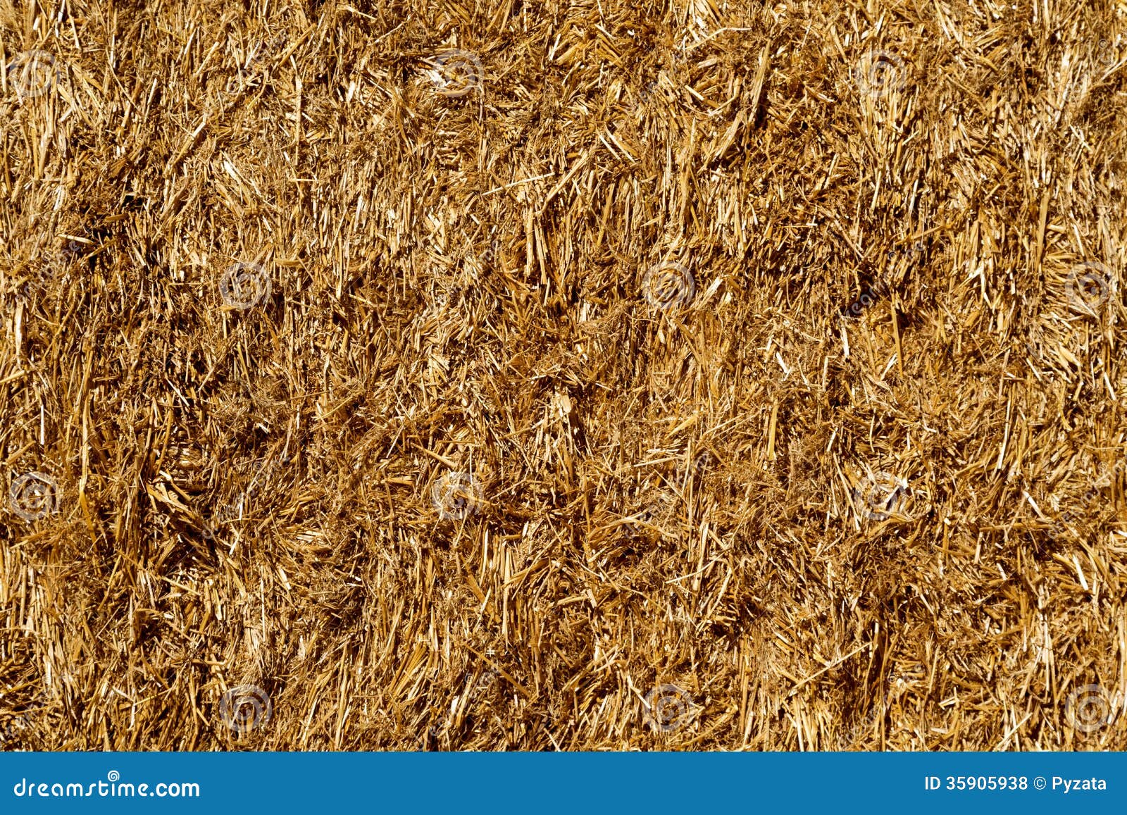 Hay background stock photo. Image of field, nature, abstract - 35905938