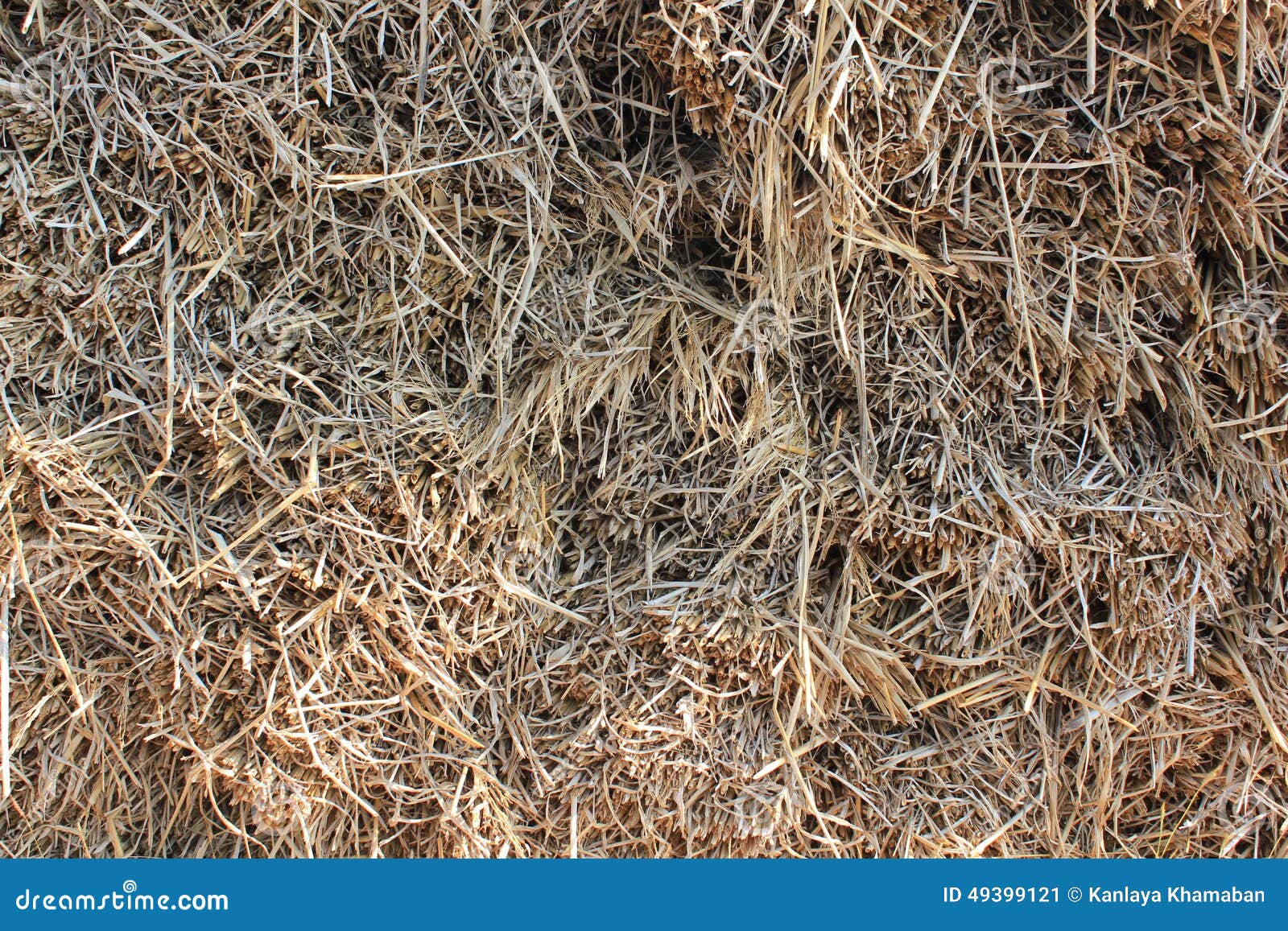 Hay background stock image. Image of plant, farm, abstract - 49399121