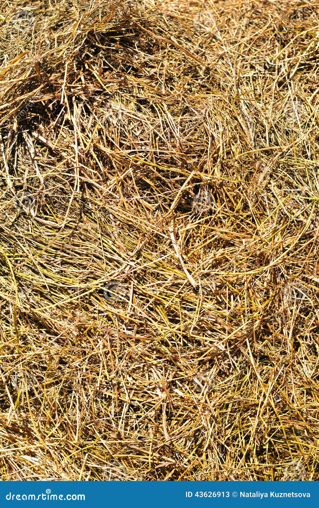 Hay background stock image. Image of sandy, thatch, haulm - 43626913