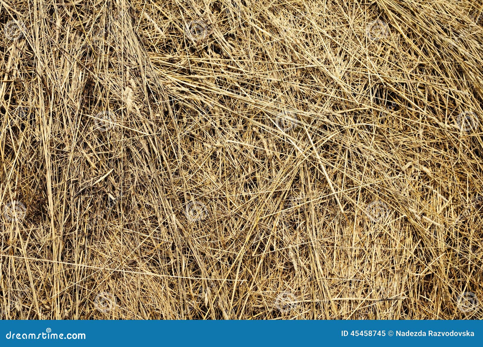 Hay Background stock image. Image of straw, harvest, stack - 45458745