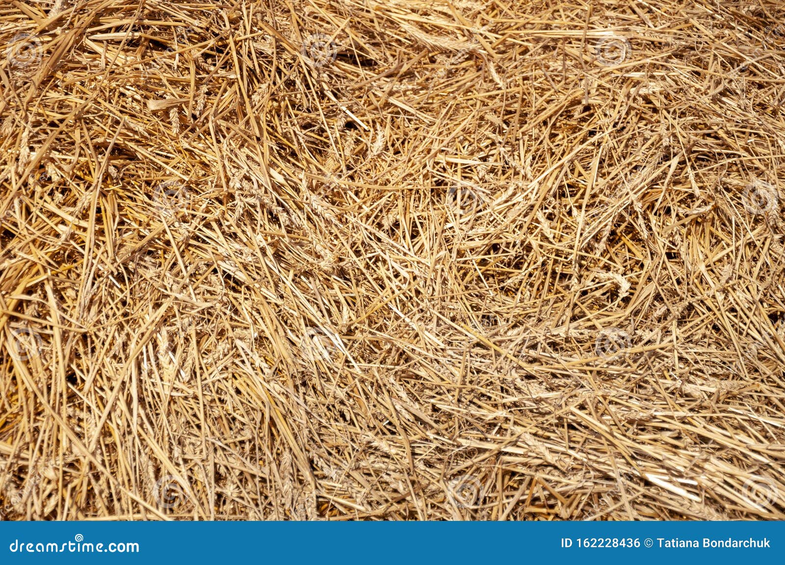Hay Background. Hay in the Village Closeup Texture. Stock Photo - Image ...