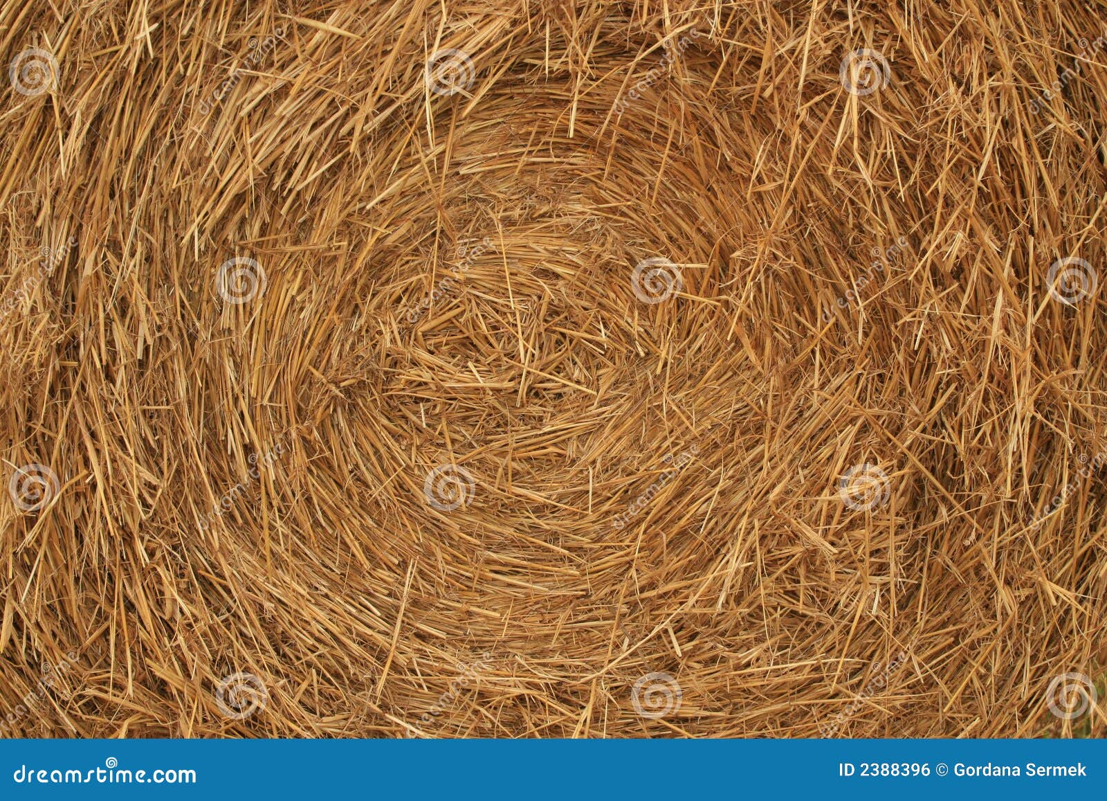 Hay backgrounds stock photo. Image of crop, fodder, gold - 2388396