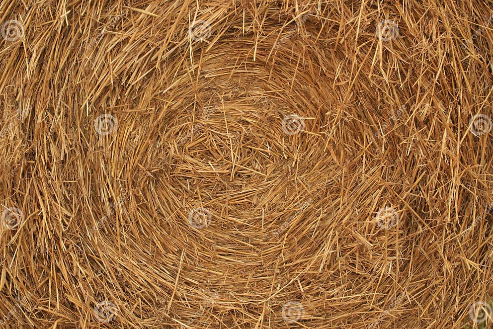 Hay backgrounds stock photo. Image of crop, fodder, gold - 2388396
