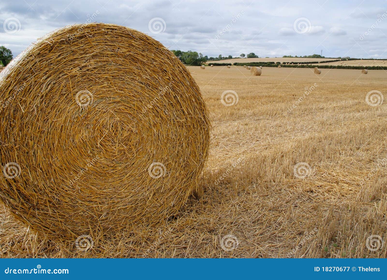 Hay Bail stock image. Image of bail, golden, side, stormy - 18270677
