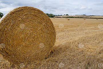 Hay Bail stock image. Image of bail, golden, side, stormy - 18270677
