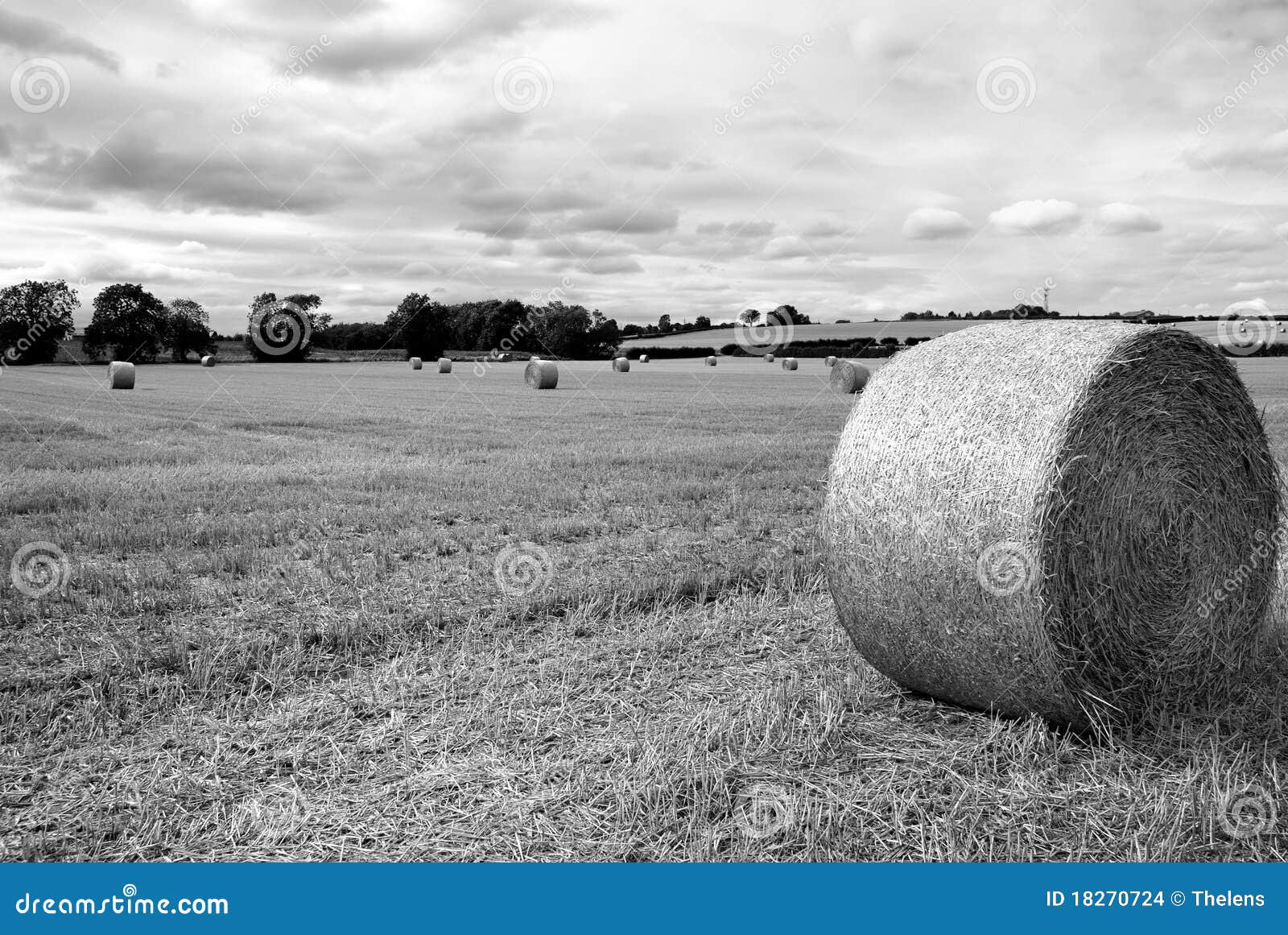 Hay Bail stock photo. Image of side, outside, field, harvest - 18270724