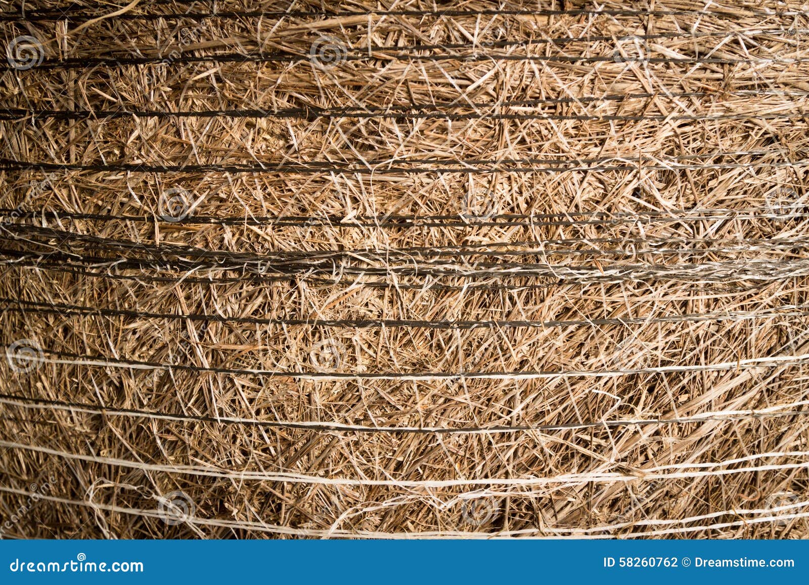 Hay bail close up stock photo. Image of bail, rural, natural - 58260762