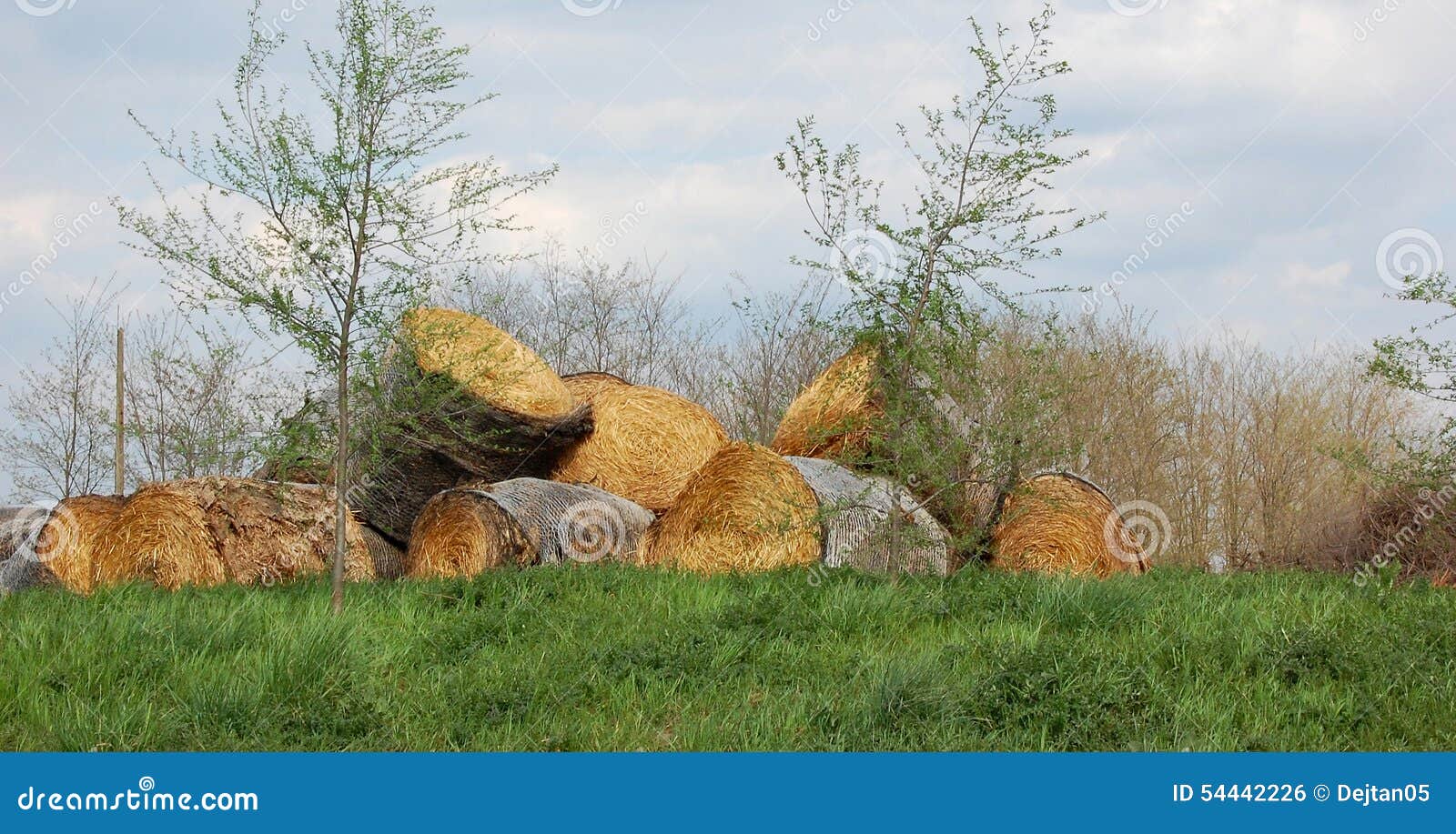 Hay bail stock photo. Image of bail, farm, autumn, dried - 54442226