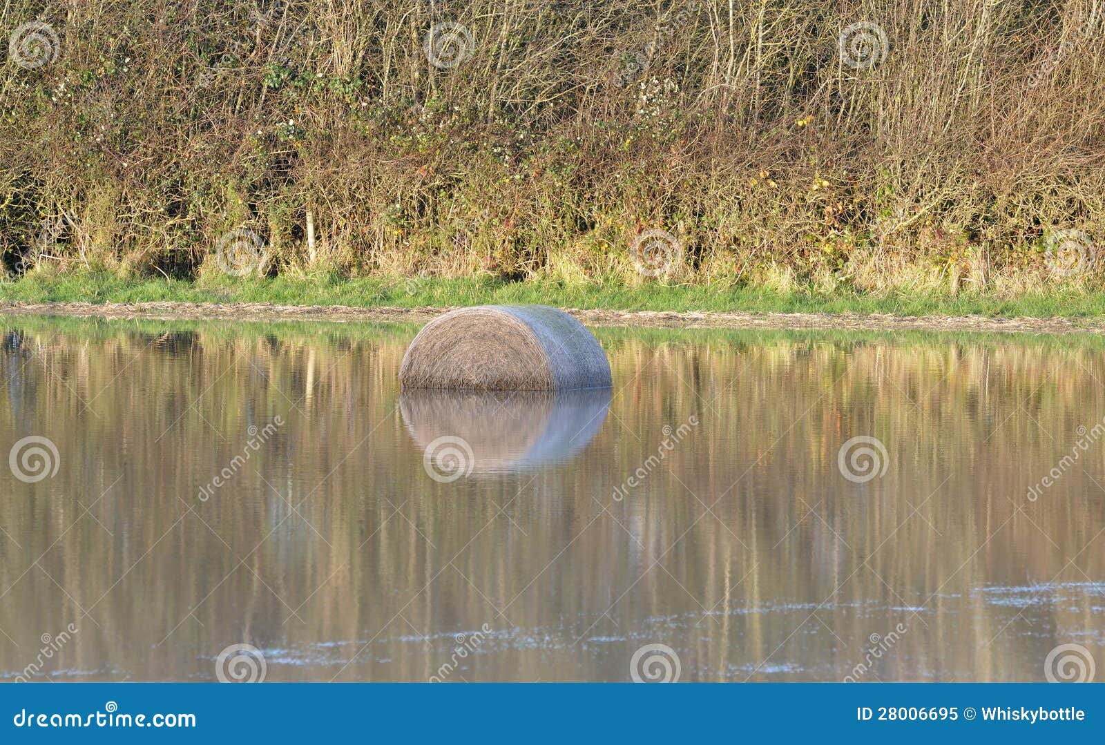 Hay bail with reflection stock image. Image of pool, landscape - 28006695