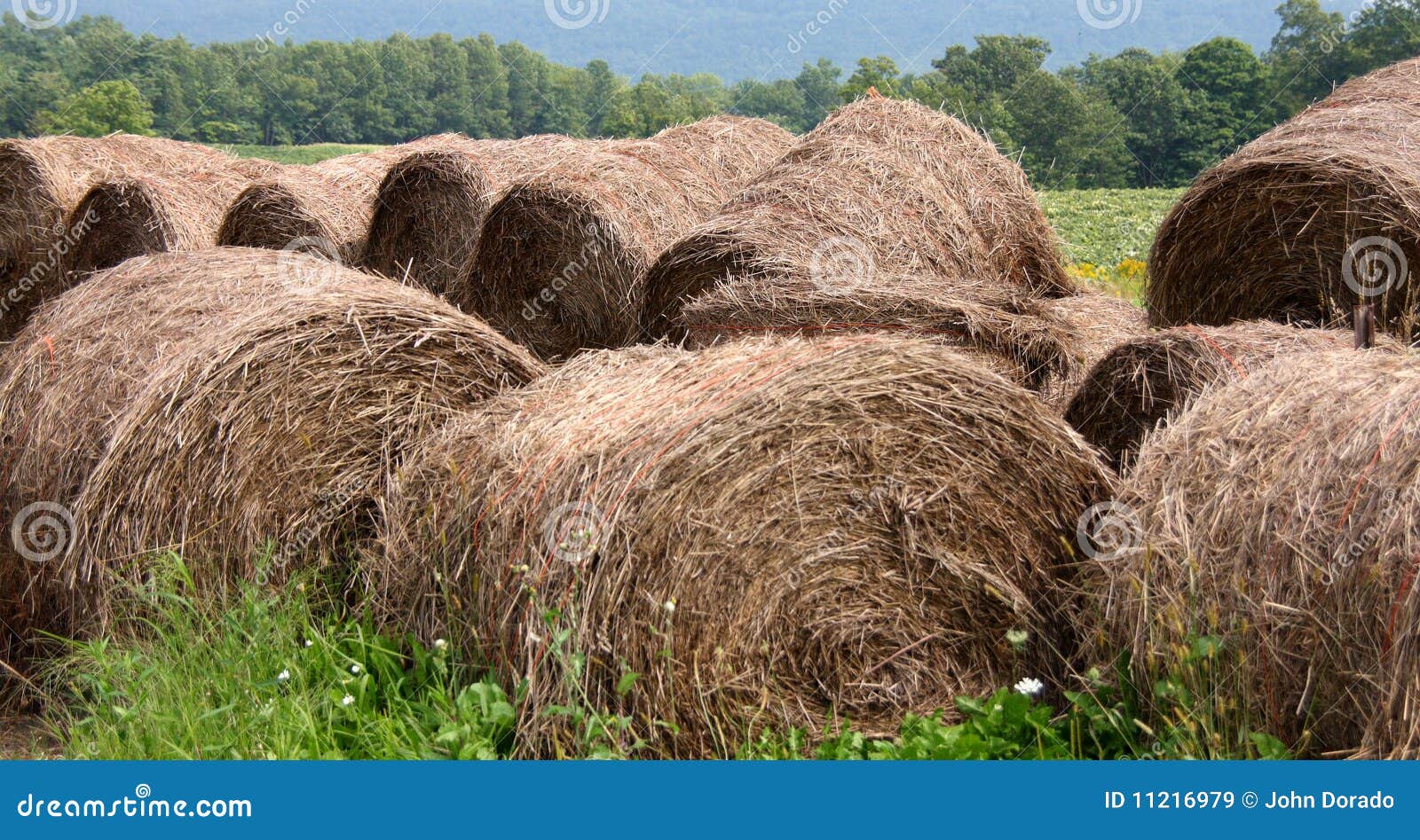Hay Bails stock image. Image of grow, gold, bail, package - 11216979