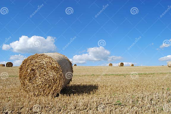 Hay bails stock image. Image of cloud, agriculture, grass - 3515083