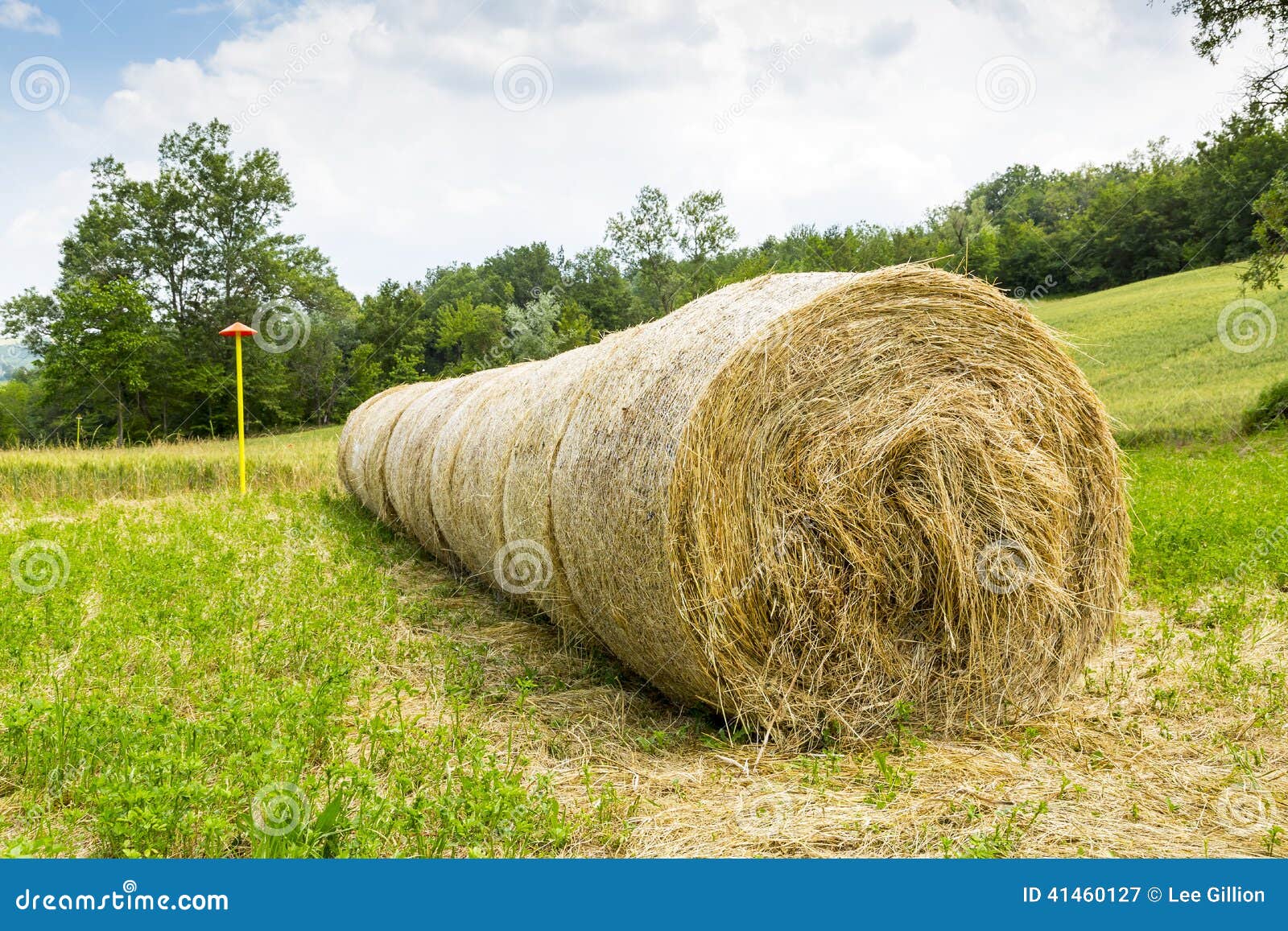 Hay Bails. stock image. Image of harvest, bale, countryside - 41460127