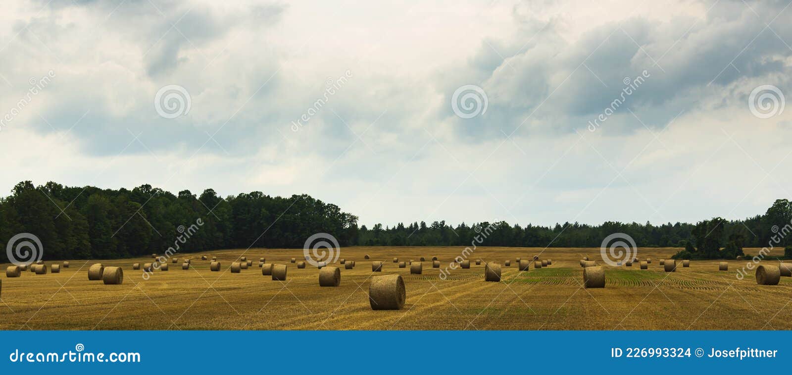 Hay Bails on a Farmers Field Stock Photo - Image of country ...