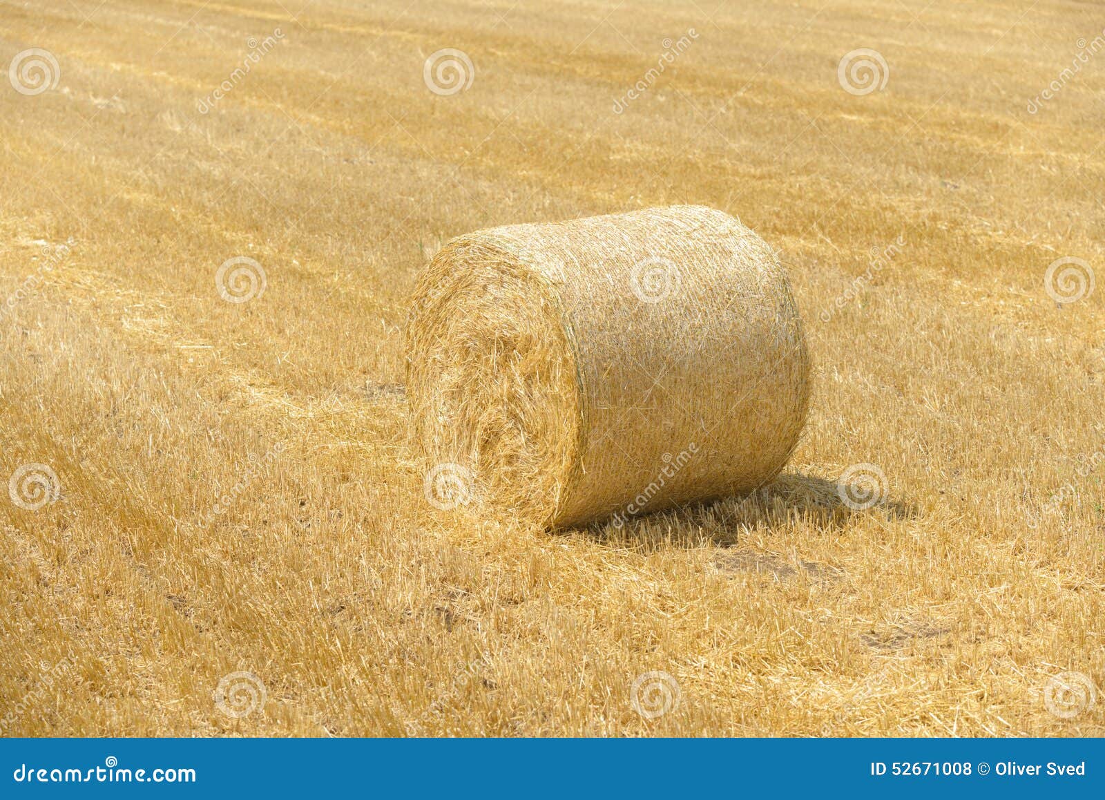 Hay bails on the field stock photo. Image of background - 52671008