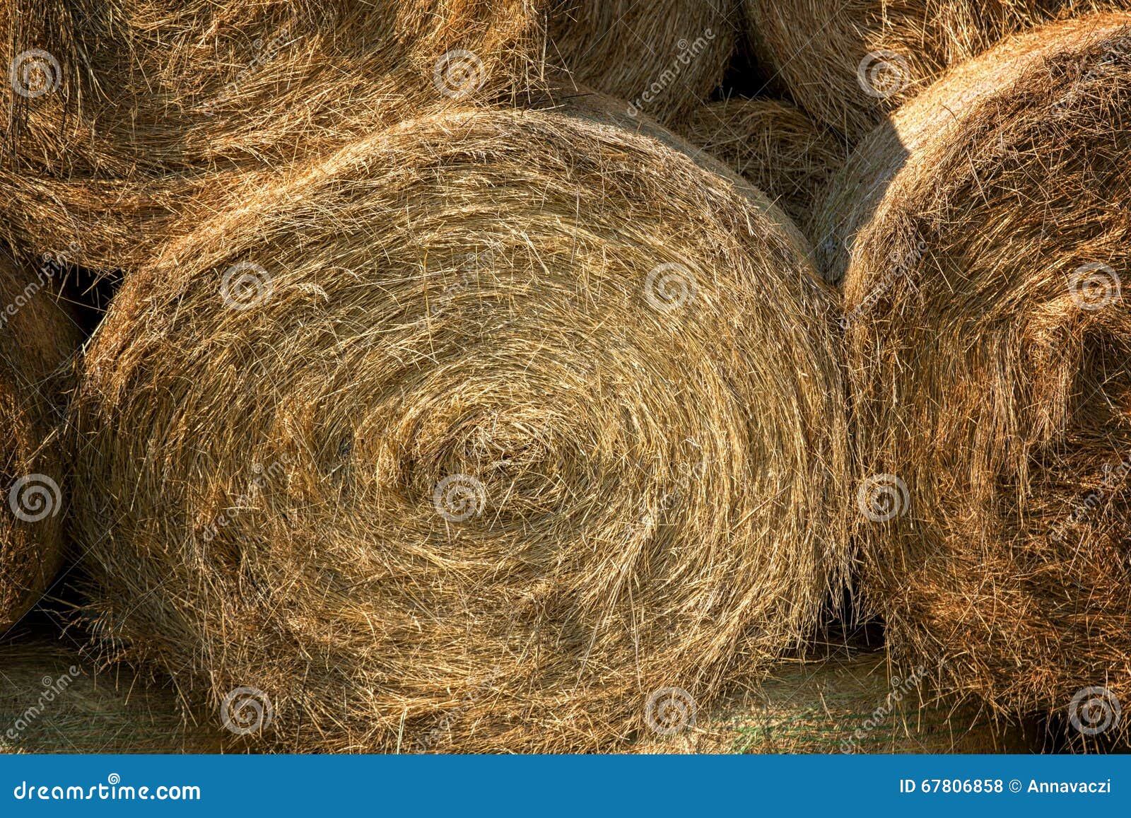 Hay bails on the field stock photo. Image of production - 67806858