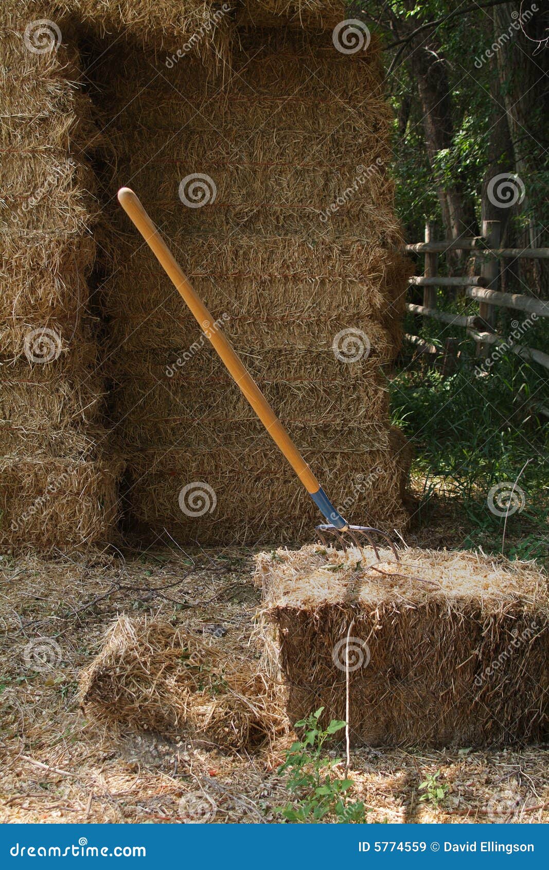 Hay Bails and Pitch Fork stock image. Image of ranch, cattle - 5774559