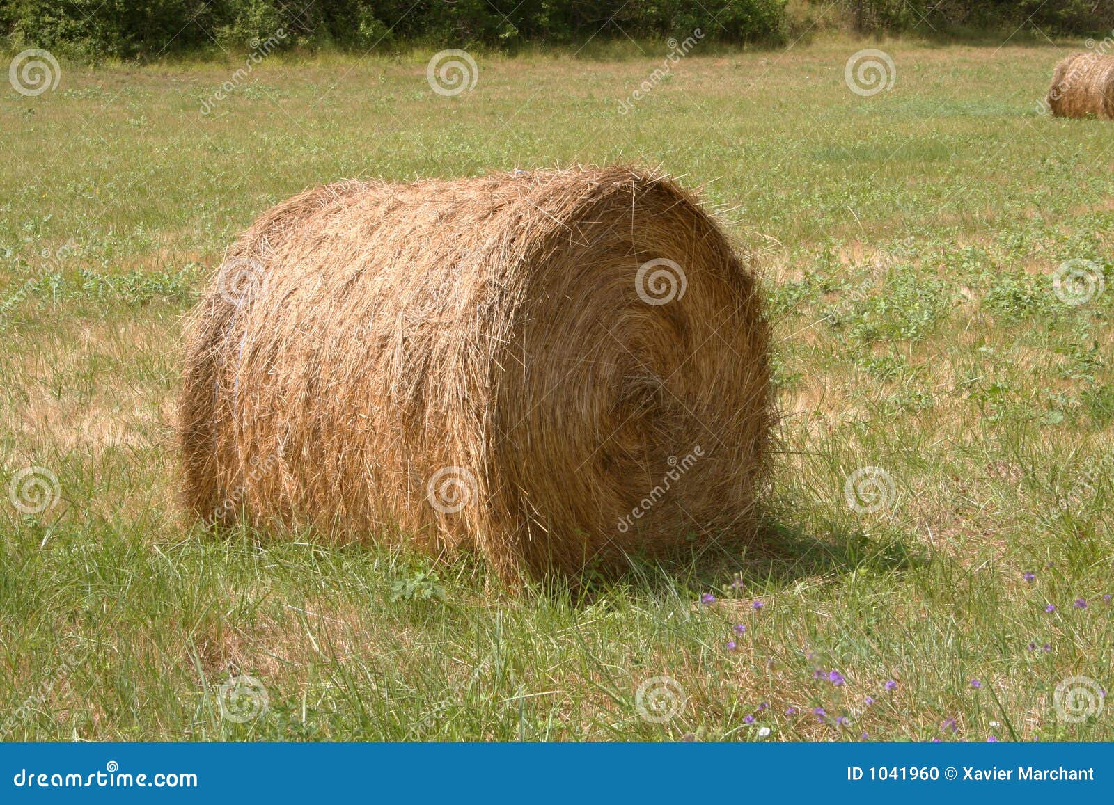 Hay bal stock photo. Image of grass, harvest, work, green - 1041960