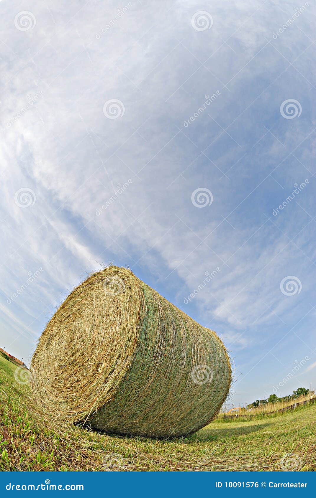 Hay bale stock photo. Image of fisheye, land, food, farming - 10091576