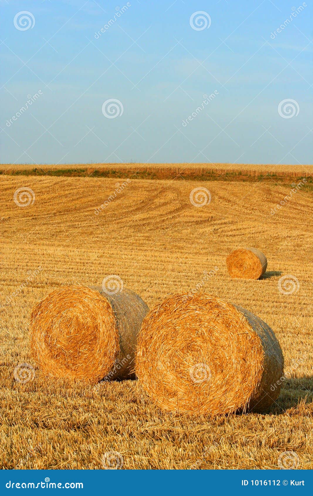 Hay bale stock photo. Image of circle, crop, summer, rounded - 1016112