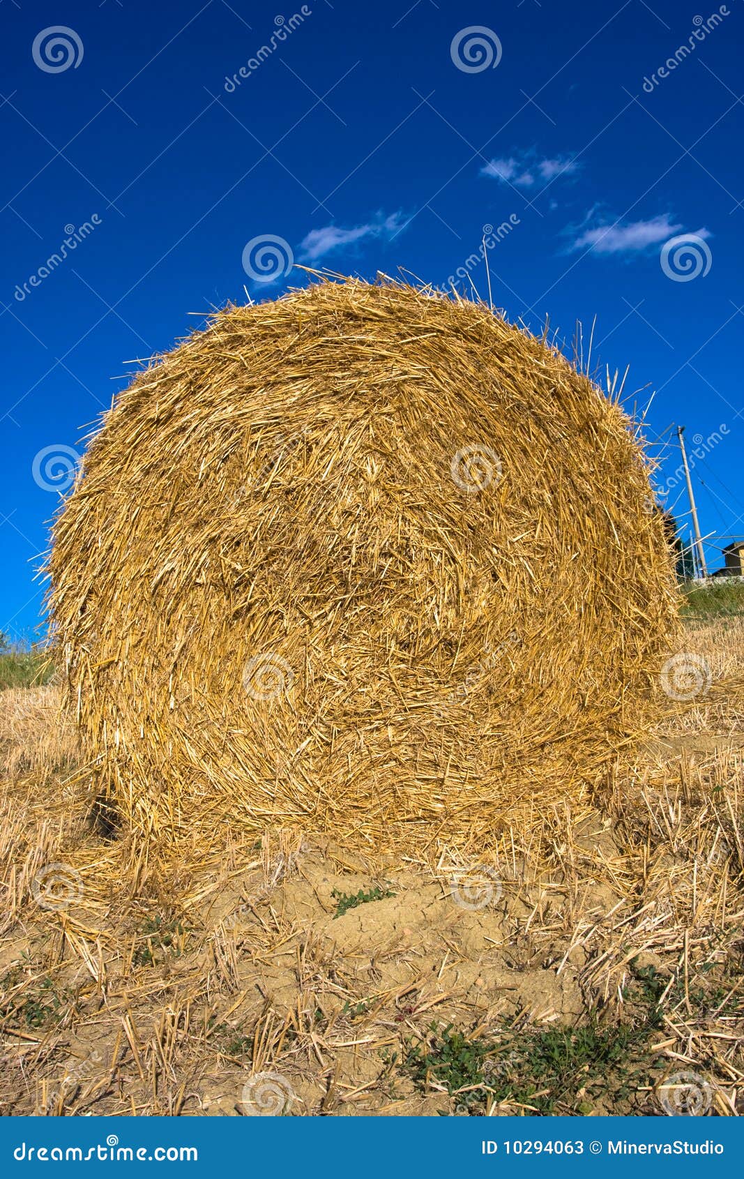Hay bale stock image. Image of agricultural, landscape - 10294063