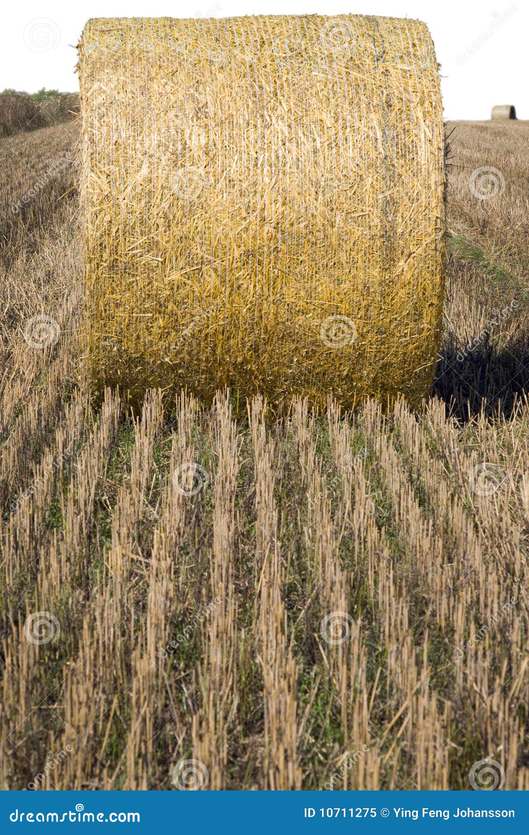 Hay bale stock image. Image of meadow, agriculture, crop - 10711275