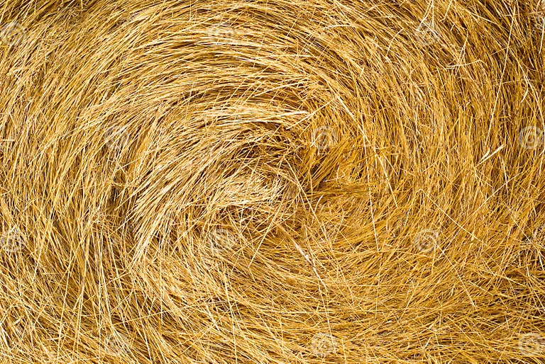 Hay bale stock image. Image of sunlight, abstract, pattern - 11528351