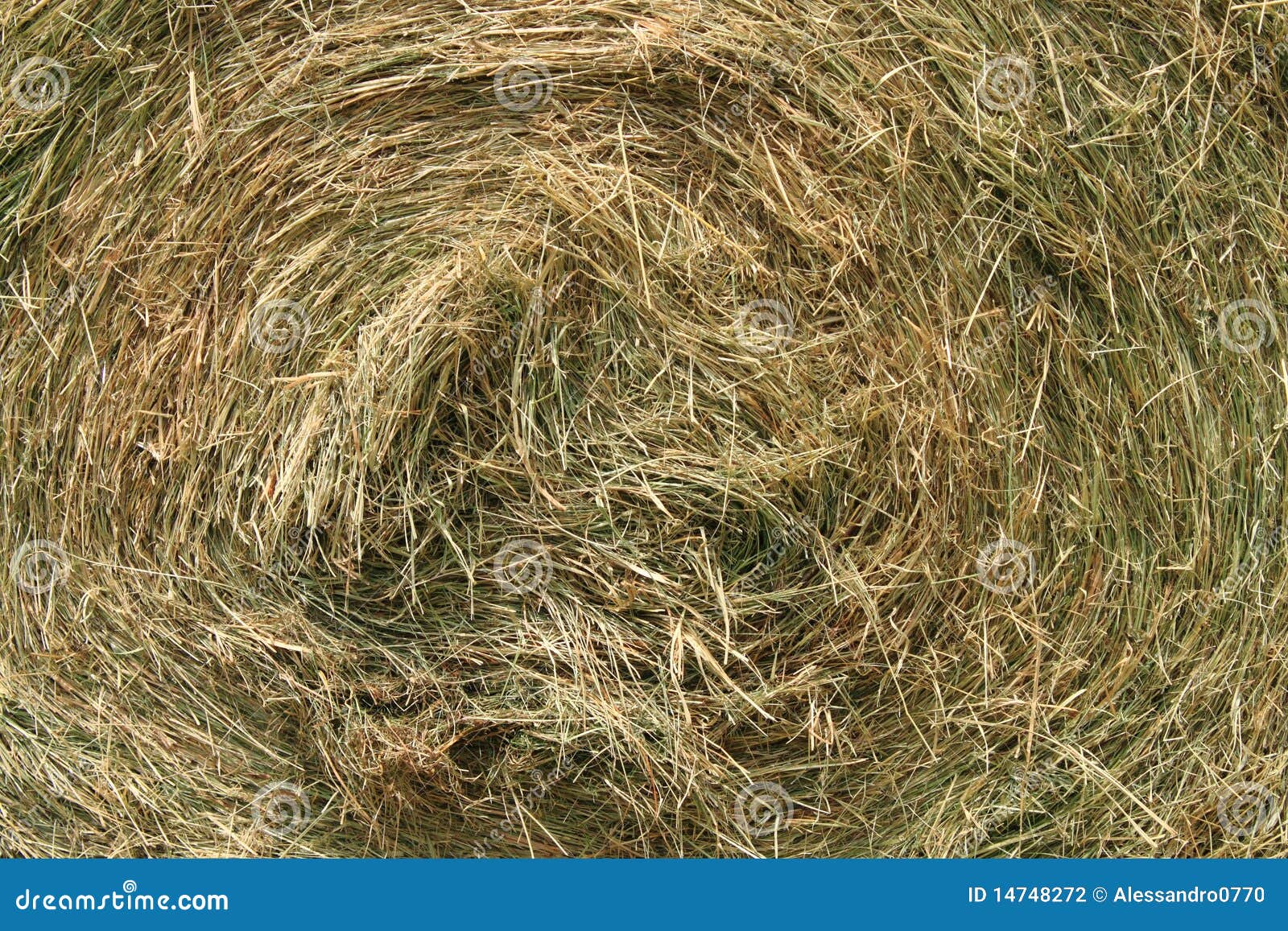 Hay bale stock photo. Image of growing, farmland, bale - 14748272