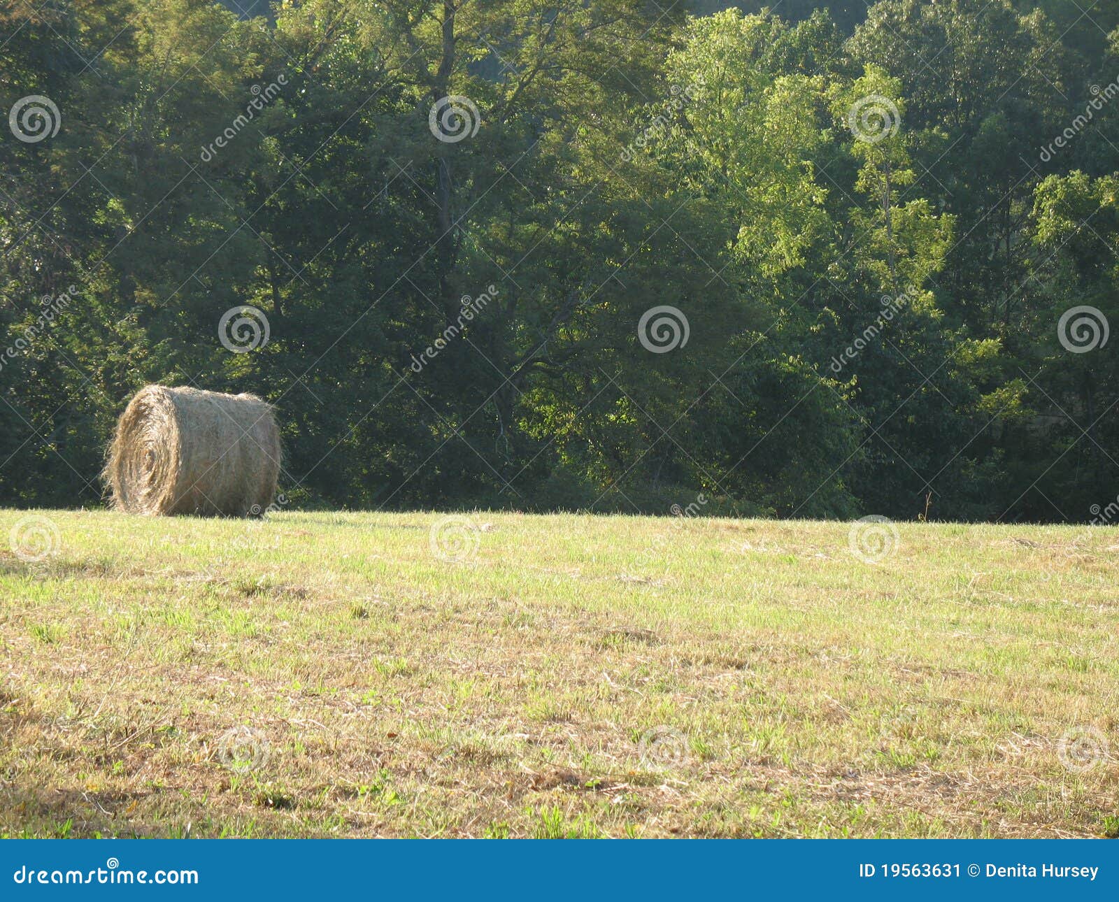Hay Bale stock image. Image of shadow, country, nature - 19563631
