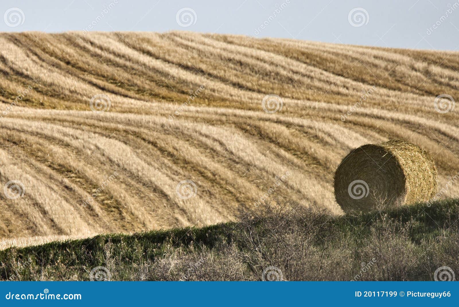 Hay Bale stock image. Image of grain, haystack, bale - 20117199