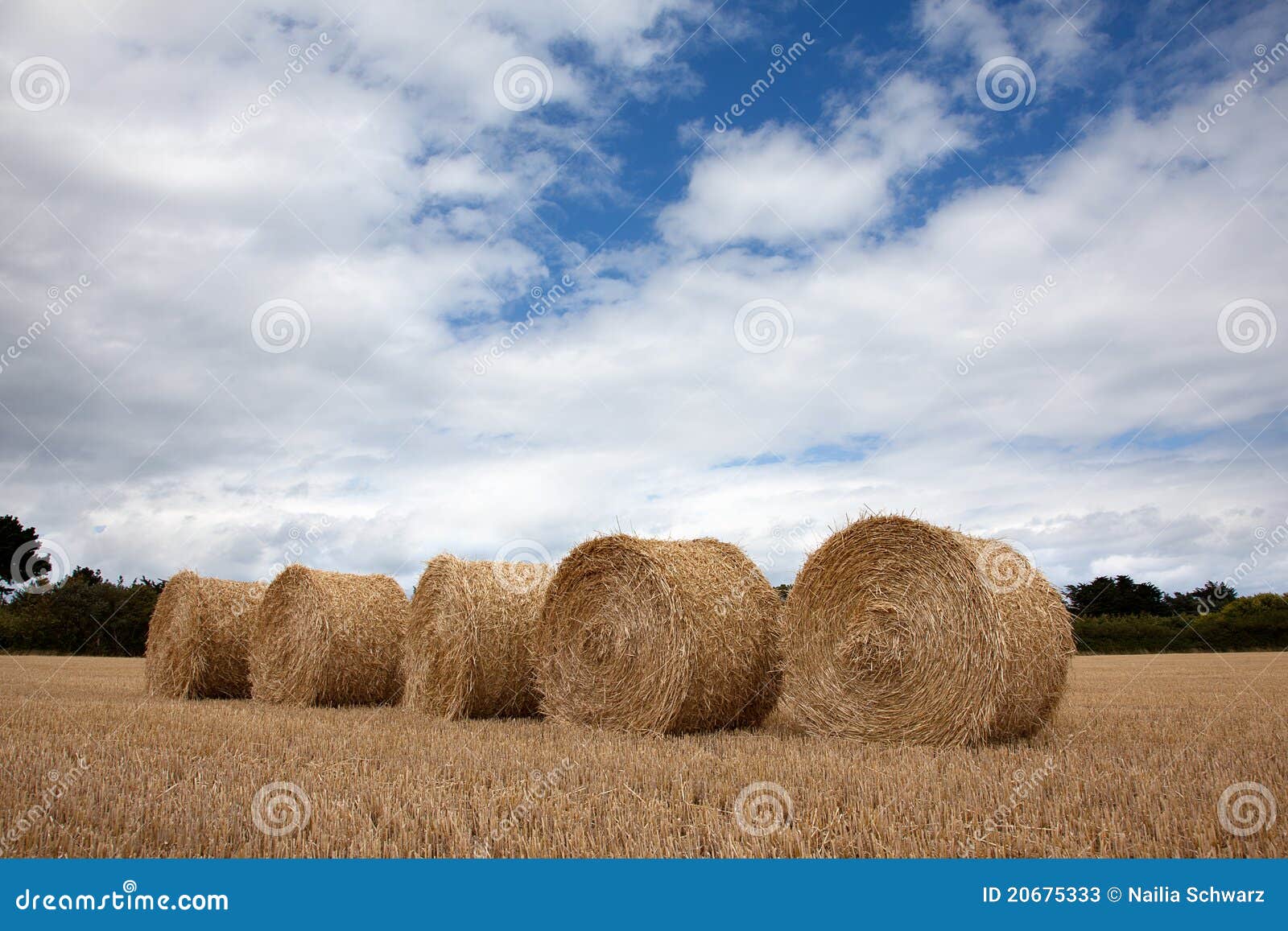 Hay Bale stock image. Image of blue, bread, natural, golden - 20675333