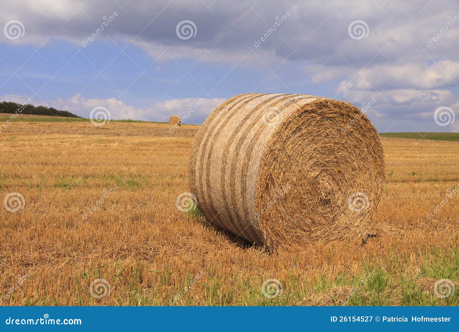 Hay bale stock image. Image of harvest, golden, agricultural - 26154527